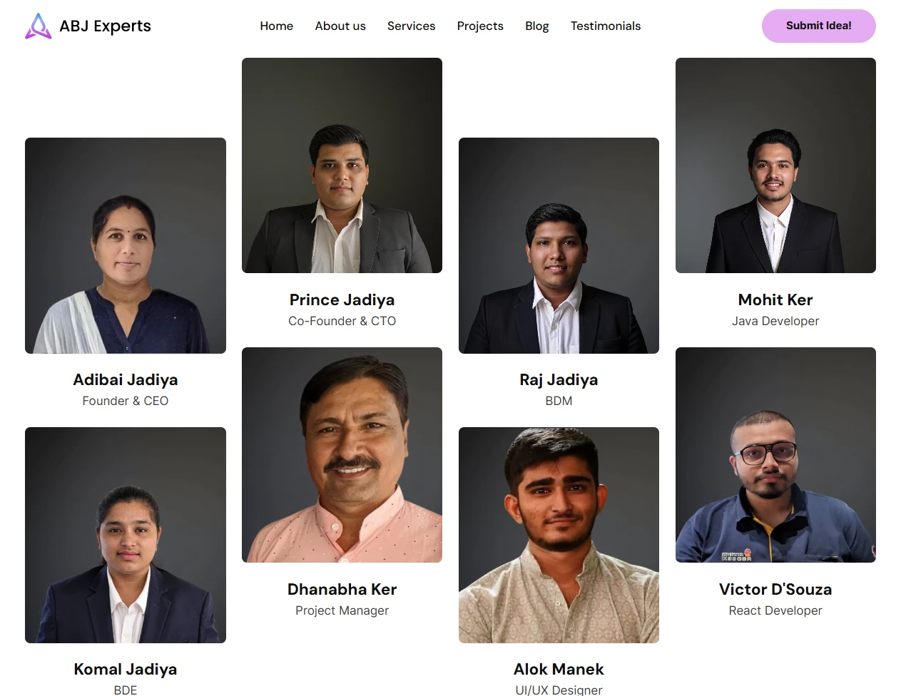 About Us - Digital Innovation & IT Solutions | ABJ Experts